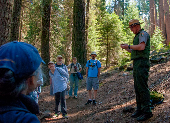 The Karl Marx Tree – Within the Panorama